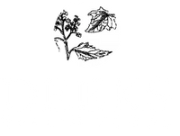 Deeks Health Food